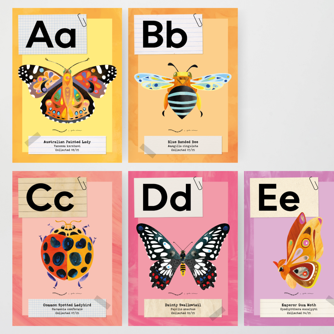 Pete Cromer: Upper Grades Alphabet Posters - Insect Life Classroom ...
