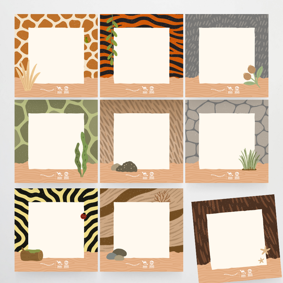 Taronga Zoo: Square Labels - Zoo-Themed Classroom Decor