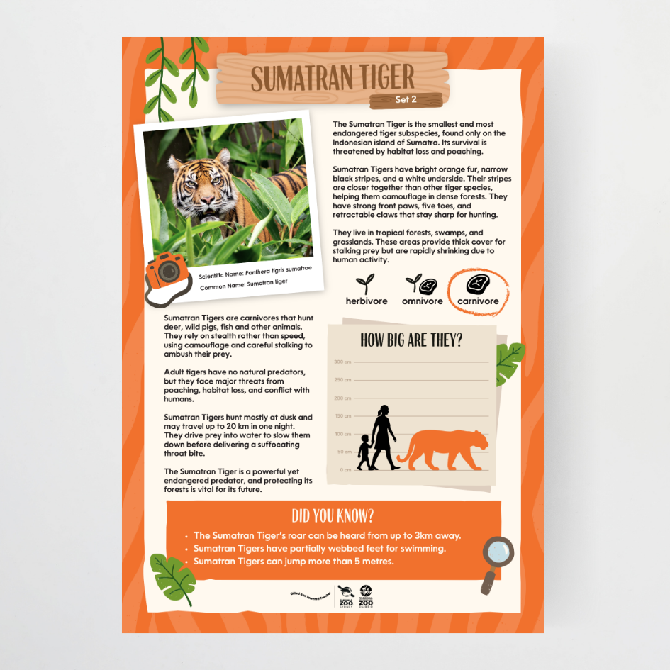 Taronga Zoo: Animal Information Report Fact Files - Classroom Decor