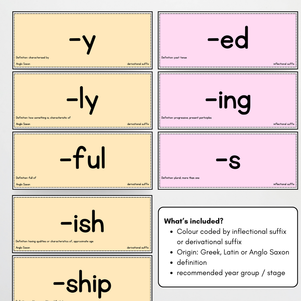 Key Terms (Prefixes, Bases and Suffixes Word Wall) Bundle | Morphology ...