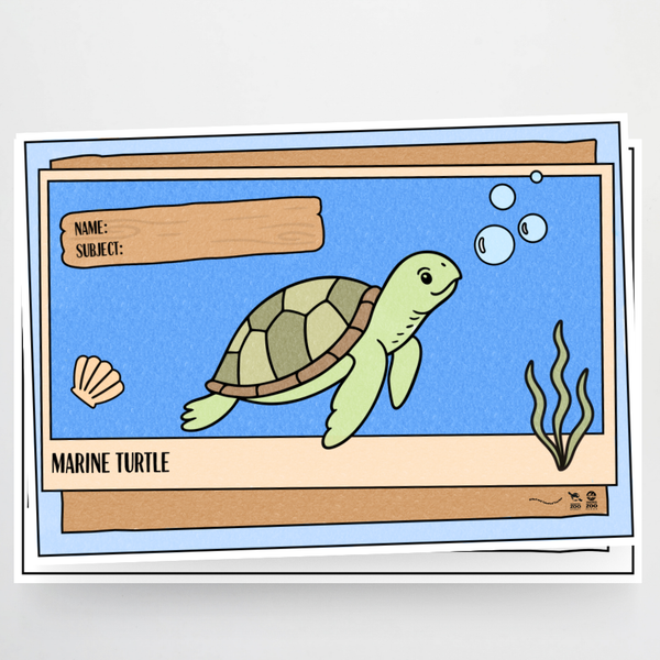 Taronga Zoo: Line Art Book Covers - Zoo-Themed Classroom Decor