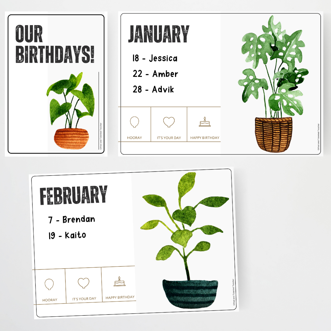 Birthday Display - Boho Botanical Classroom Decor | Gifted and Talented ...