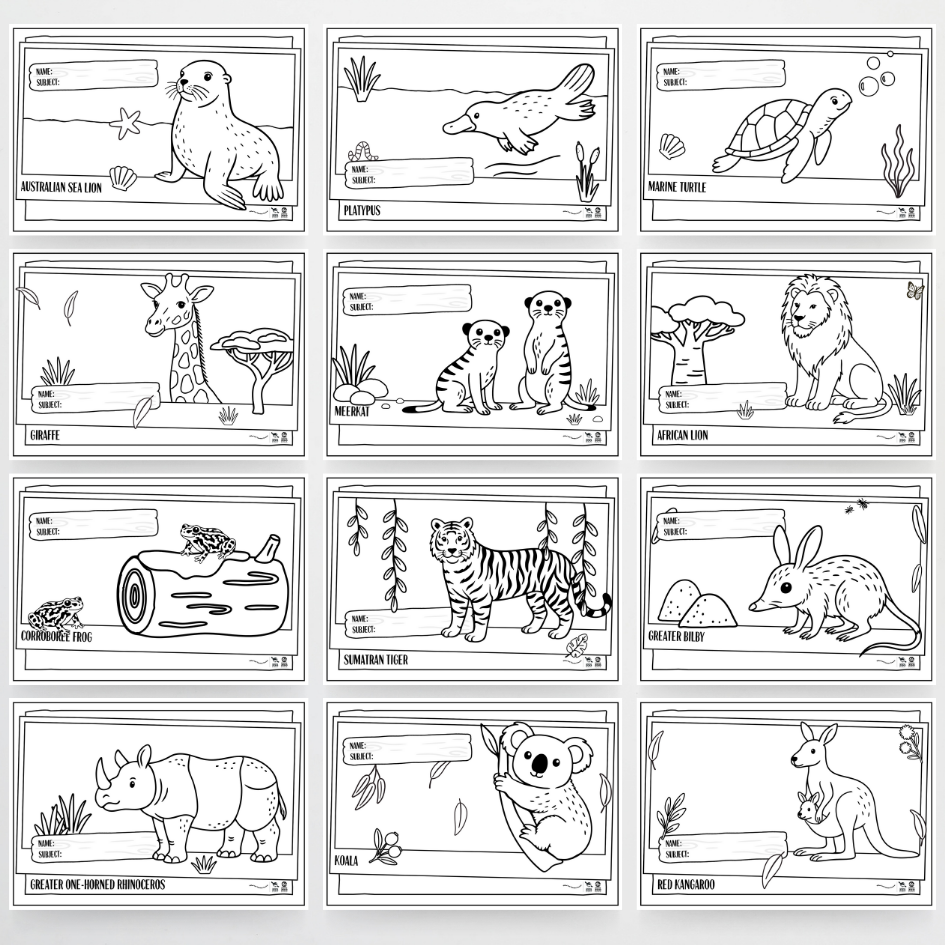 Taronga Zoo: Line Art Book Covers - Taronga Zoo Classroom Decor ...