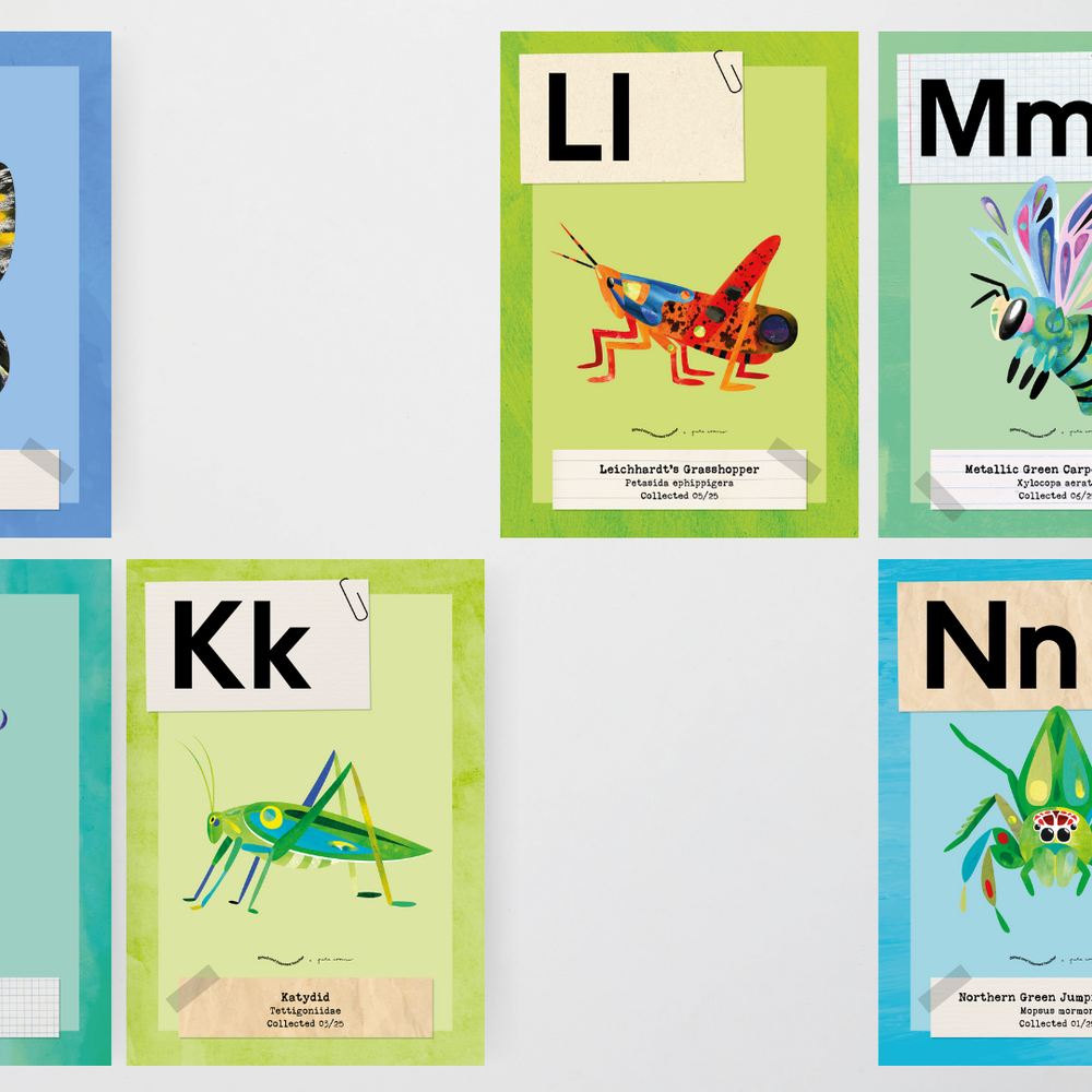 Pete Cromer: Upper Grades Alphabet Posters - Insect Life Classroom ...