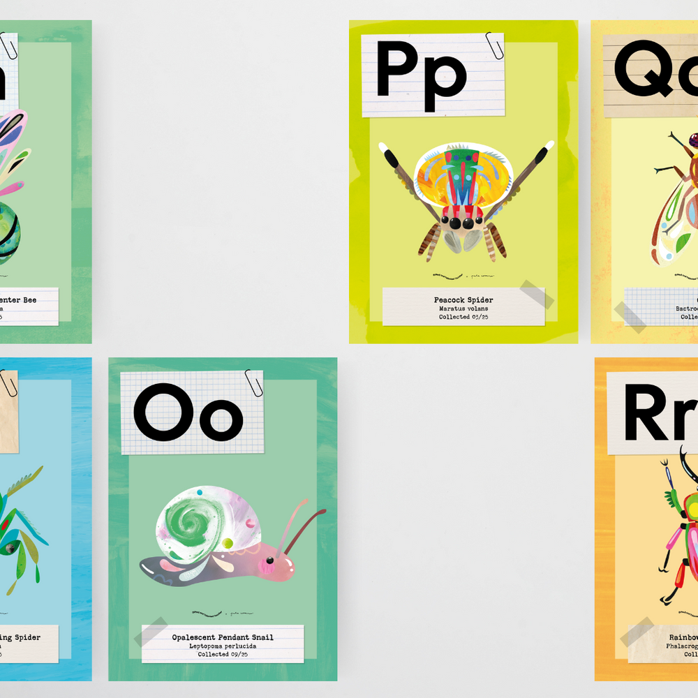 Pete Cromer: Upper Grades Alphabet Posters - Insect Life Classroom ...