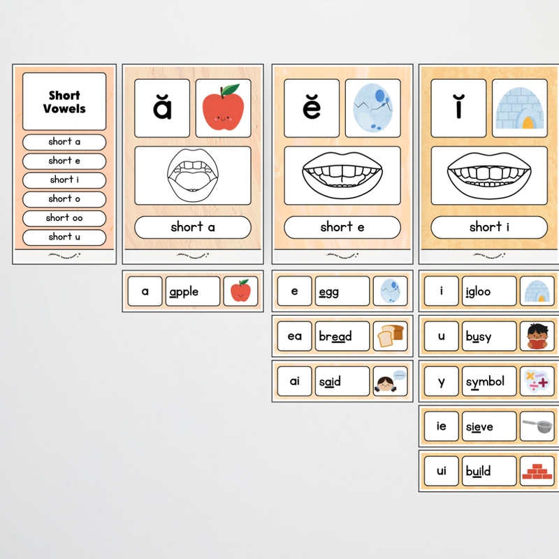 Classroom Decor - Themed Bundles | Gifted and Talented Teacher ...