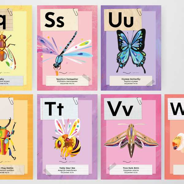 Pete Cromer: Upper Grades Alphabet Posters Insect Life Classroom Decor