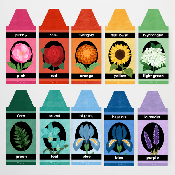 Crayon Colour Posters Teacher Resource - Leafy Greens Classroom Decor