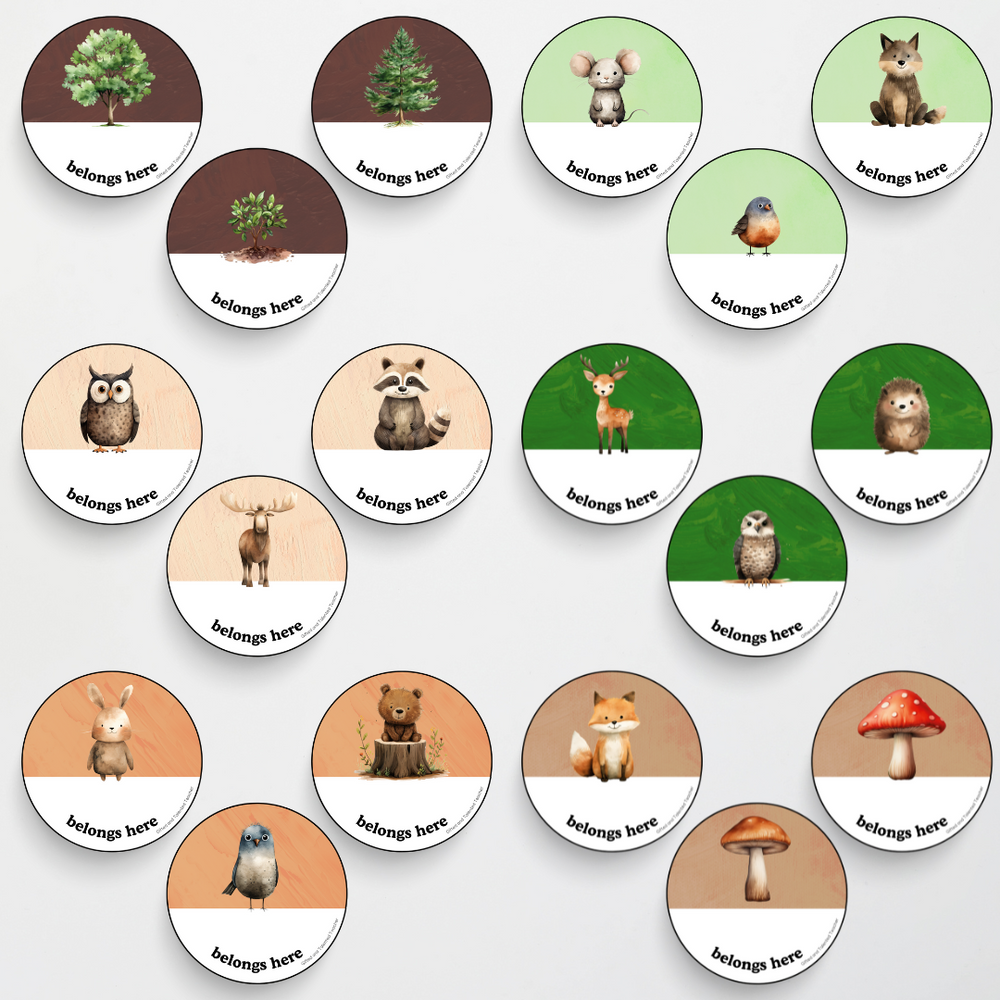Welcome Door Display - Woodland Classroom Decor Teacher Resources