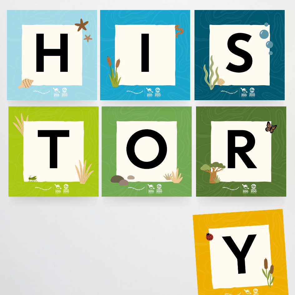 Taronga Zoo: Lettering Tiles - Taronga Zoo Classroom Decor | Gifted and ...