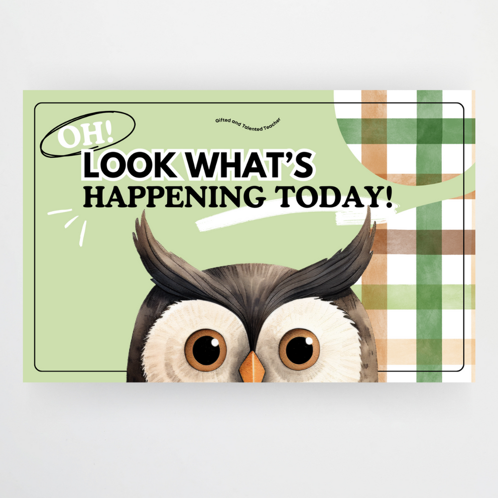 Daily Schedule - Woodland Classroom Decor Teaching Resources