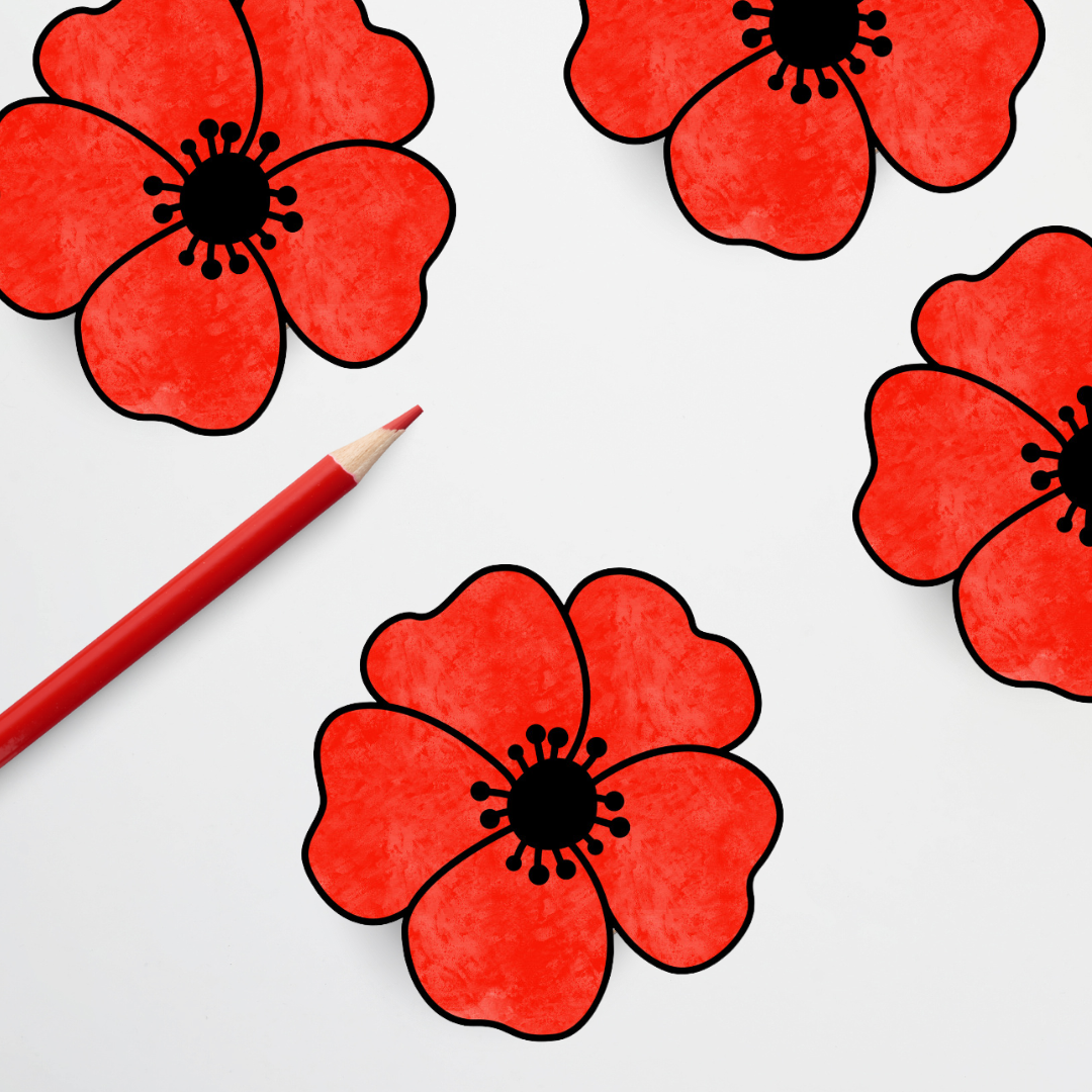Anzac Day: Poppy Colouring In | Free Teacher Resources