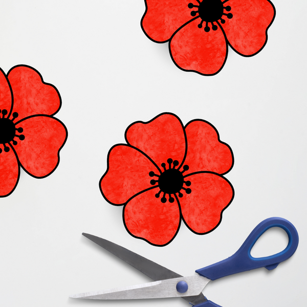 Anzac Day: Poppy Colouring In | Free Teacher Resources