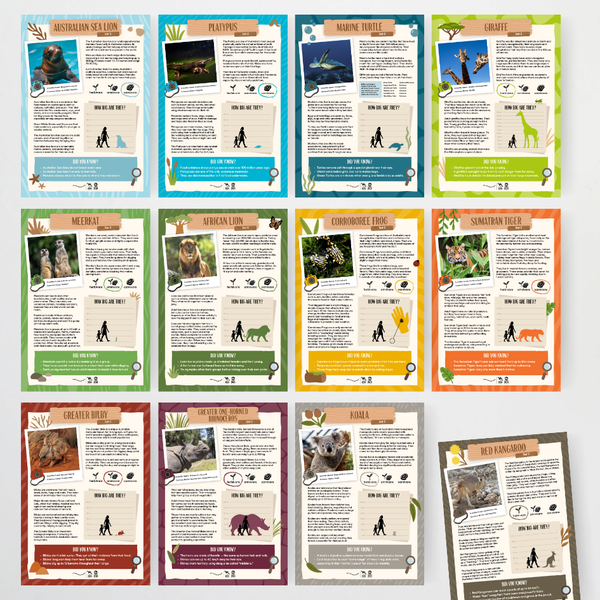 Taronga Zoo: Animal Information Report Fact Files - Classroom Decor