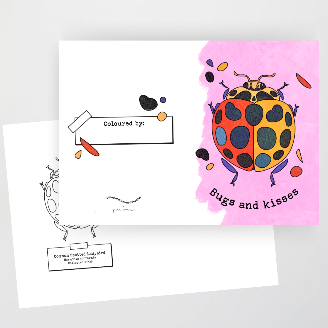 Pun Cards for any occasion - Insect Life Classroom Decor | Gifted and ...