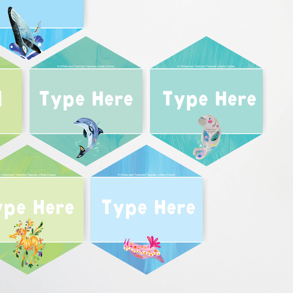 Pete Cromer: Hexagon Labels Sea Life Classroom Decor Teacher Resource
