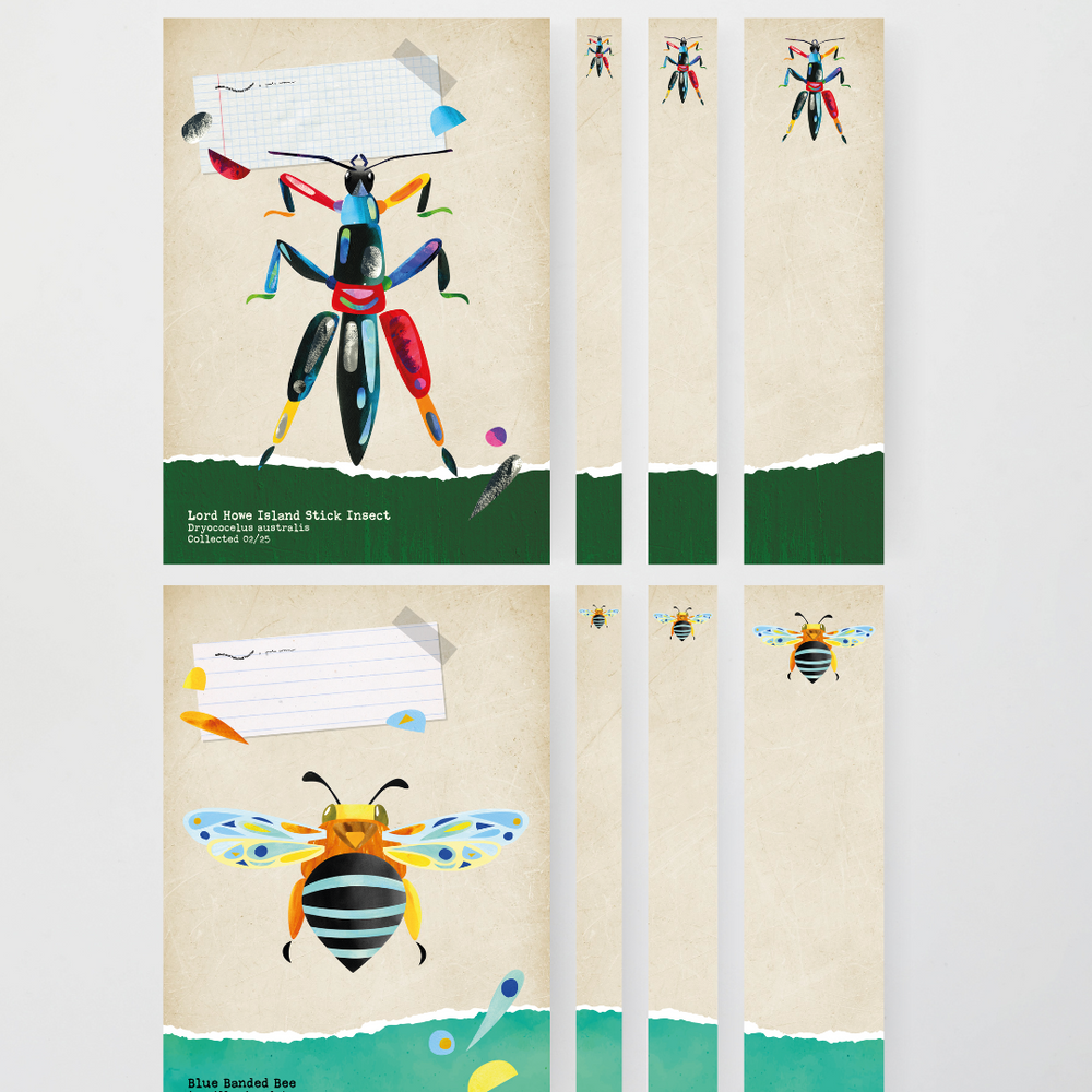 Pete Cromer: Binder Covers - Insect Life Classroom Decor | Gifted and ...