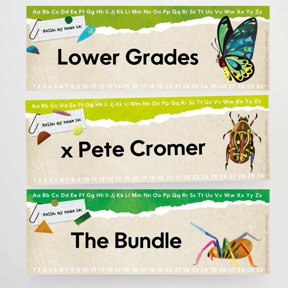 x Pete Cromer - Insect Life Classroom Decor (Lower Grades) Bundle