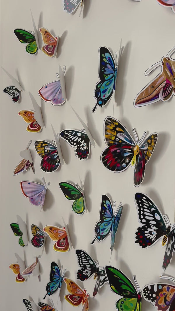 Pete Cromer: Affirmation Station - Insect Life Classroom Decor